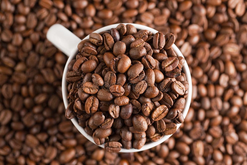 Coffee Beans with White Cup Stock Image - Image of arabic, break: 12732979