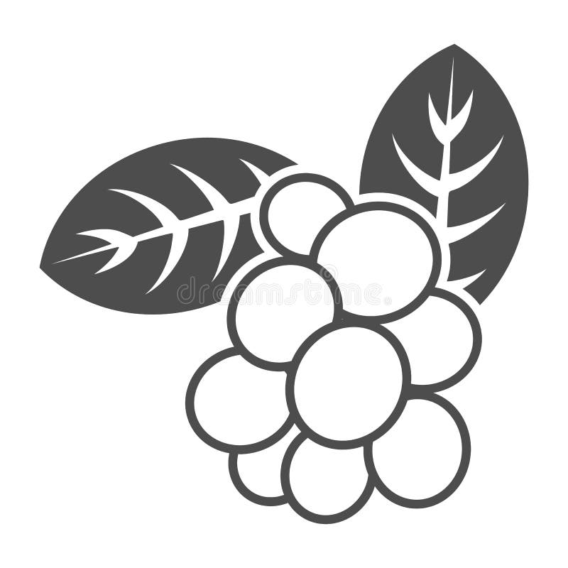 Coffee Berry with Leafs Solid Icon, Catering Business Concept, Coffee ...