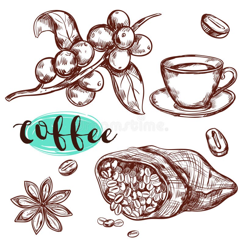 Coffee Branch Icon Set stock vector. Illustration of coffee - 213500674