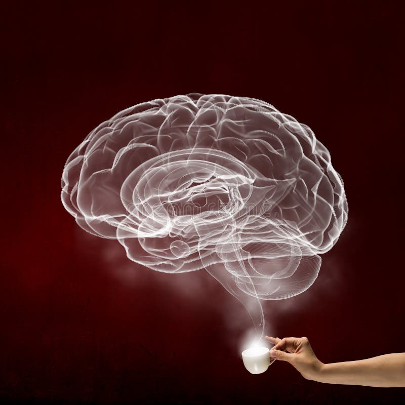 How Coffee Affects The Brain