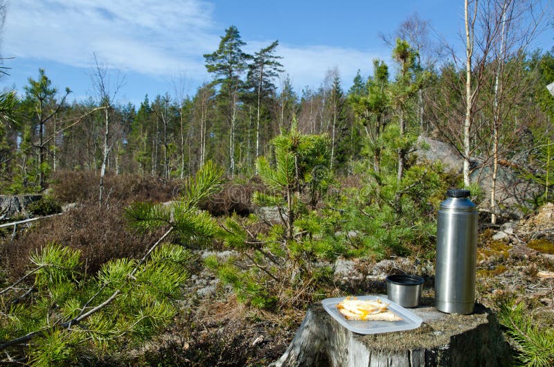 Coffee break in the forest stock photo. Image of forest - 24002556