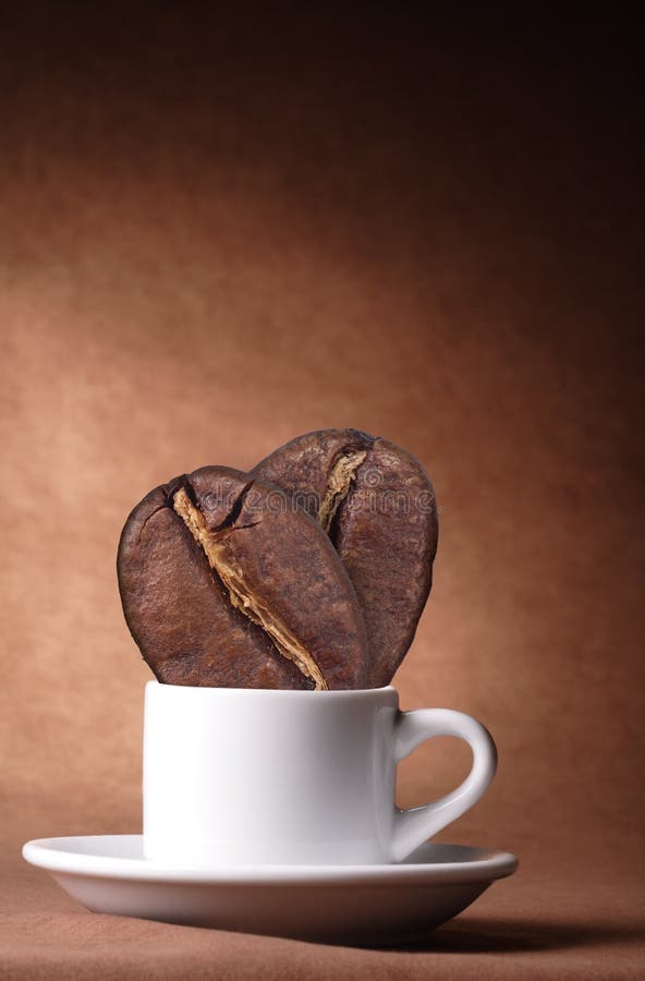 Coffee cap stock image. Image of espresso, seed, color - 10014107