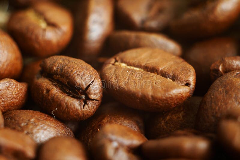 Coffee.close up stock photo. Image of coloured, harvest - 12838892