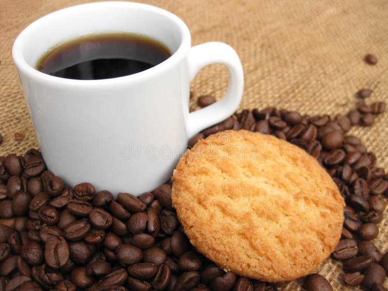 Coffee and cookie stock photo. Image of tropical, white - 11110192