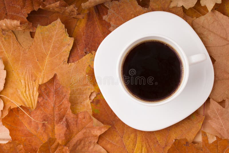Coffee Cup on the Autumn Fall Leaves Stock Photo - Image of design ...