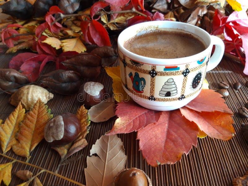 Coffee Cup on the Autumn Fall Leaves Stock Image - Image of beverage ...