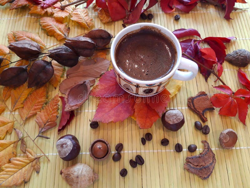 Coffee Cup on the Autumn Fall Leaves Stock Image - Image of coffee ...