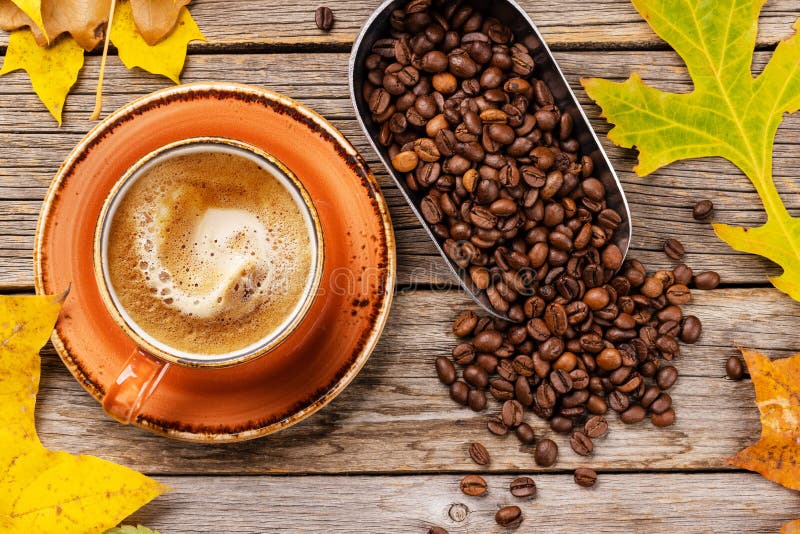 Coffee Cup and Autumn Leaves Stock Photo - Image of fall, thanksgiving ...