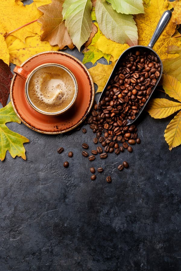 Coffee Cup and Autumn Leaves Stock Photo - Image of october, cozy ...