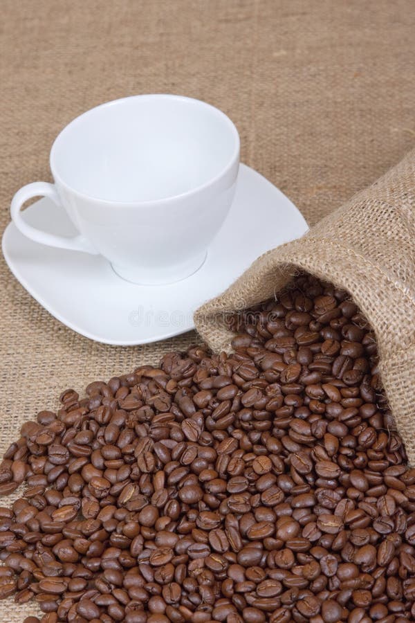 Coffee Beans in Cup stock photo. Image of modern, beans - 25354124