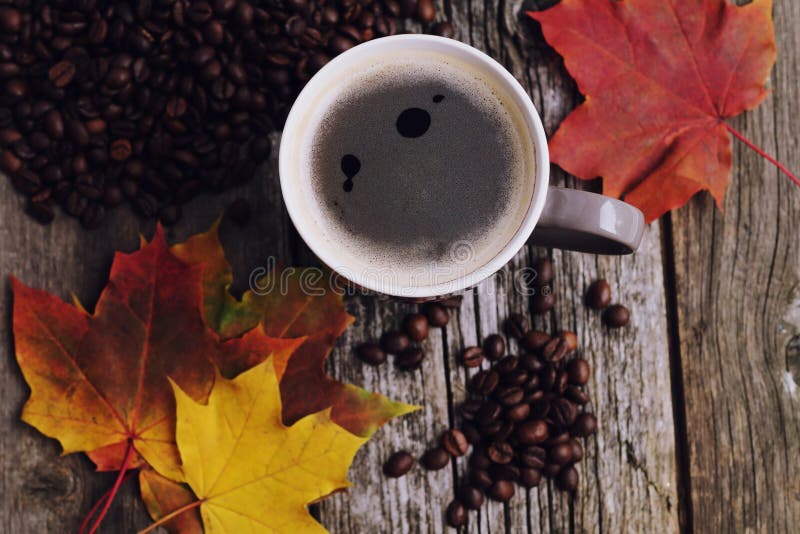 Coffee Cup with Coffee Beans and Maple Leaves Stock Photo - Image of ...