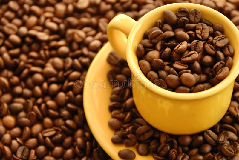 Yellow Coffee Cup with Beans in Brwon and Yellow Colors Stock Photo ...