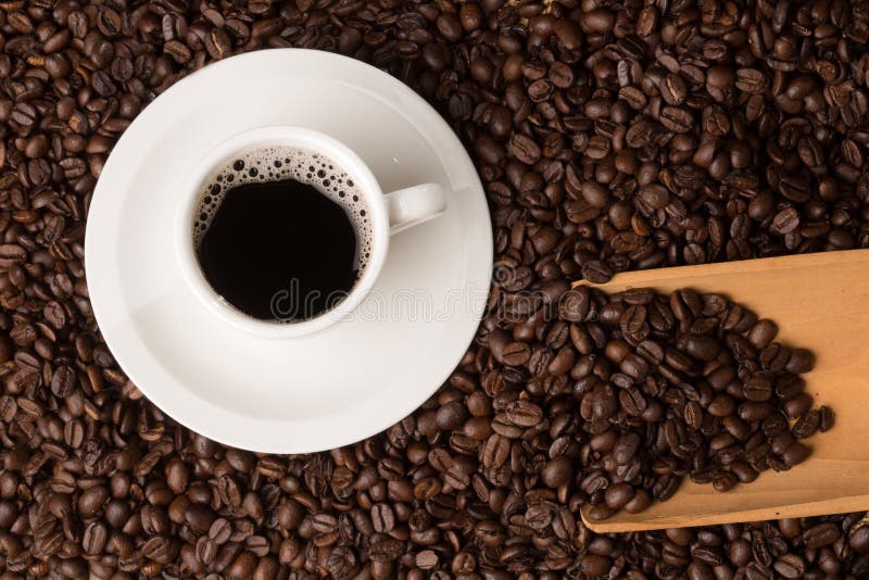 Coffee Cup on a Bed of Beans and a Serving Spoon Shot from Abov Stock ...