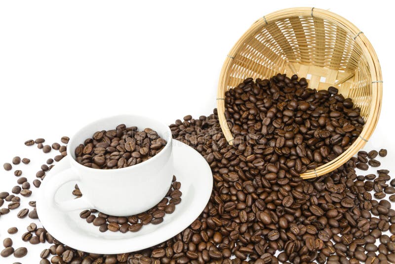 Coffee bean stock photo. Image of close, brazil, break - 31657308