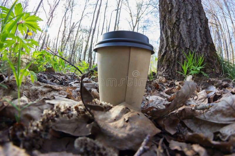 Coffee Cup in the Forest on the Ground Stock Photo - Image of landscape ...