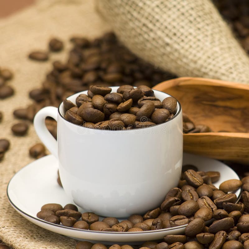 Coffee Cup Full of Coffee Beans Stock Photo - Image of coffee, pralines ...