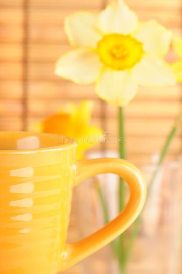 35,116 Spring Morning Coffee Stock Photos - Free & Royalty-Free Stock ...