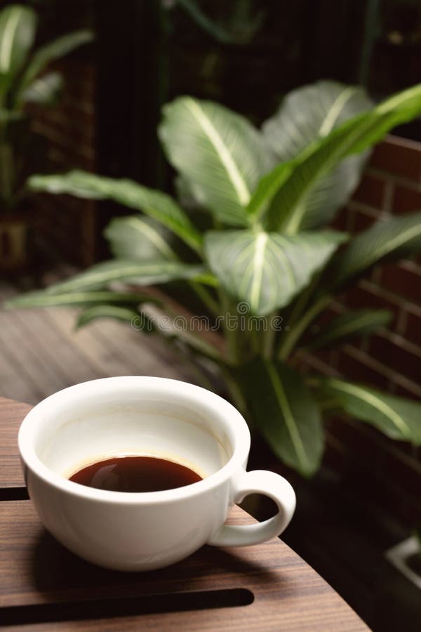 Coffee Cup on Wood Table in Garden Stock Image - Image of food, outdoor ...