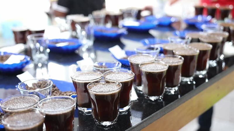 Coffee Cupping Process in African Laboratory Stock Footage - Video of ...