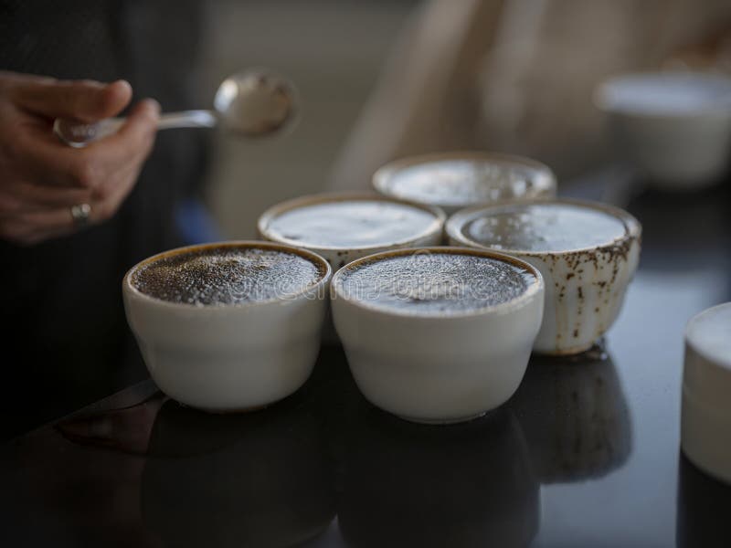 Coffee Cupping Sensory Evaluation Stock Photo - Image of beverage ...