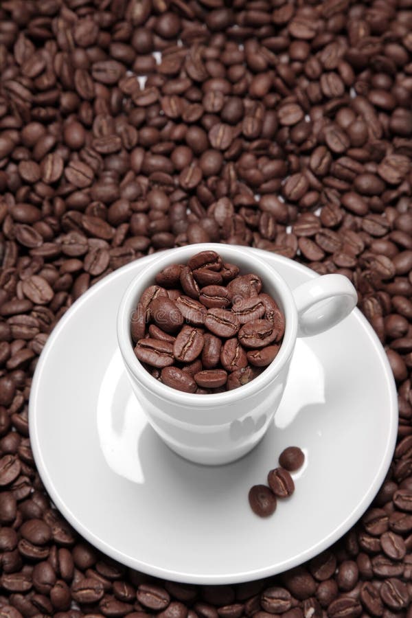 Coffee Cups and Beans stock photo. Image of caffeine - 10616204