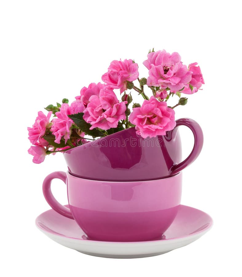 Coffee Cups with Pink Roses Stock Photo - Image of dishware ...