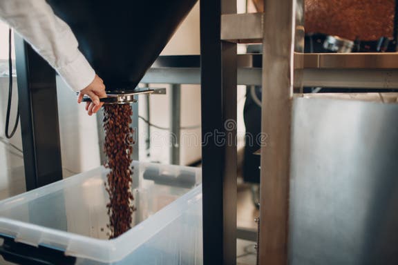 Coffee Destoner Machine at Coffee Roasting Process Stock Photo - Image ...