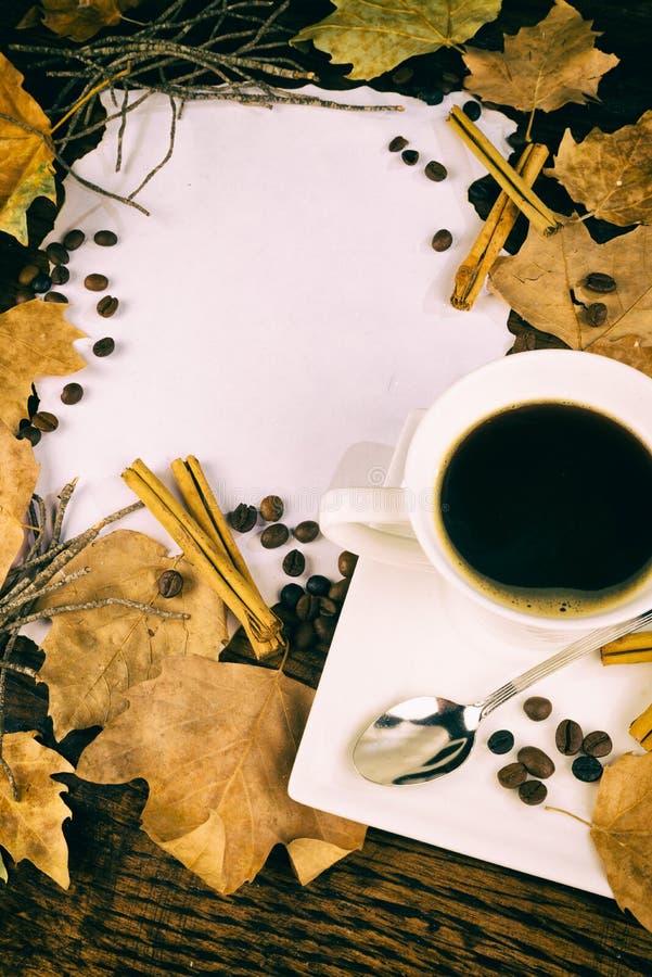 Coffee and fall leaves stock photo. Image of studio, foliage - 44009946