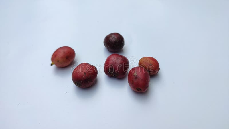Coffee Fruit that Has Been Ripe and Has a Different Color Stock Image ...