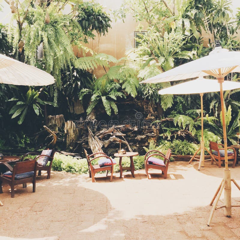 Coffee in the garden stock image. Image of forest, cafe - 53700277