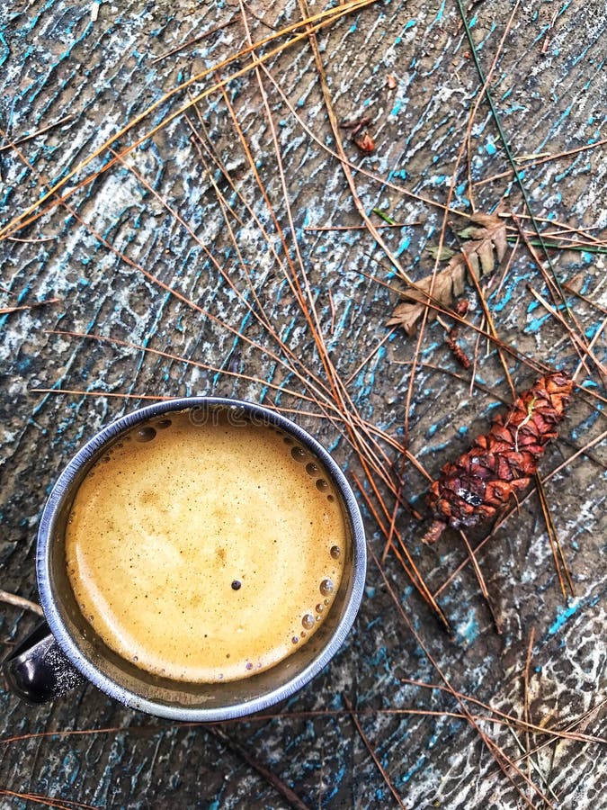 Coffee stock image. Image of pinus, glass, forest, coffee - 222638707