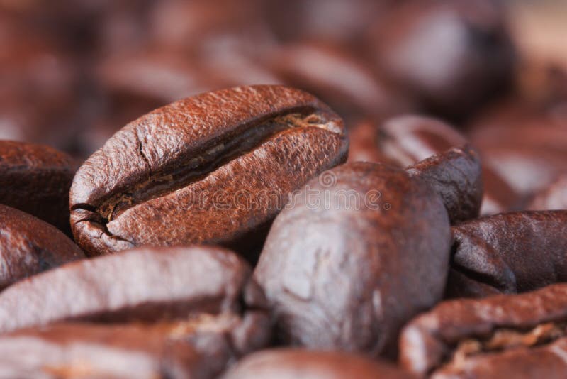 Coffee grain stock photo. Image of bean, arabica, grains - 17835580