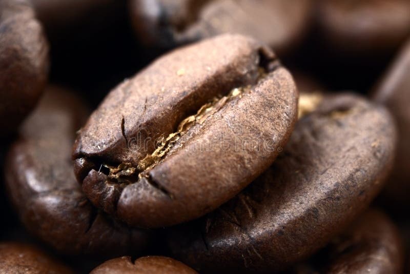 Coffee Grain Picture. Image: 4345846