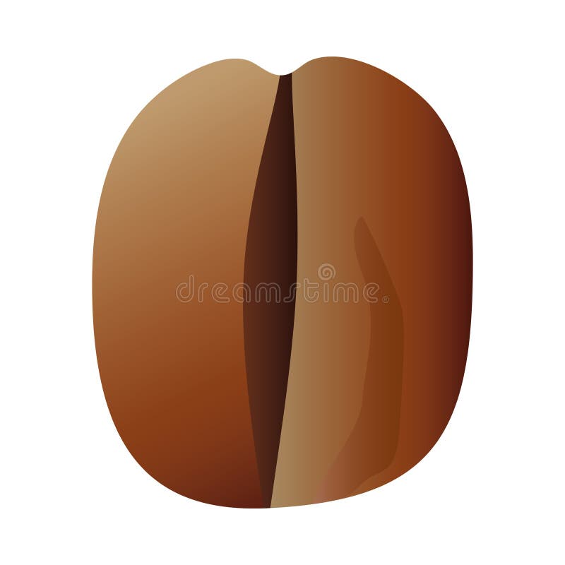 Coffee Grain Seed Isolated Icon Stock Vector - Illustration of mocha ...