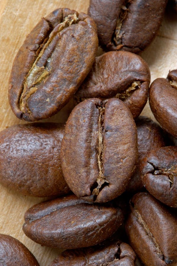 Coffee Grains Picture. Image: 1086116