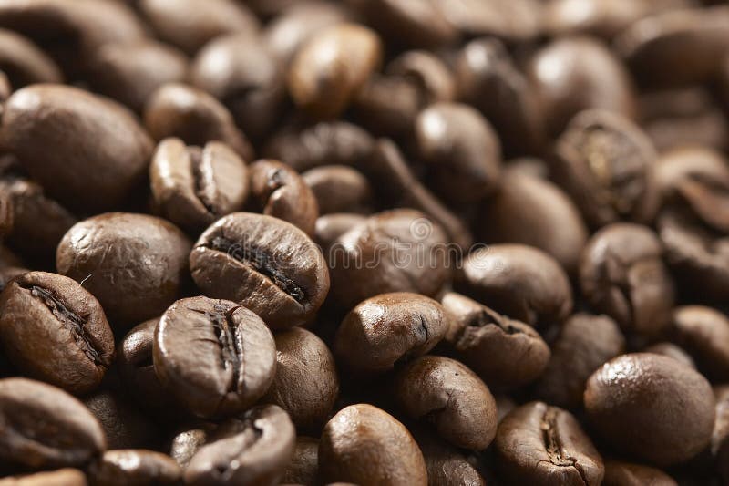Coffee grains stock photo. Image of details, background - 1132056