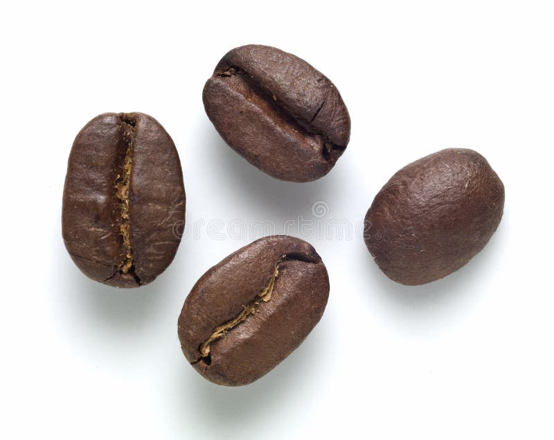 Coffee grains stock image. Image of roasted, coffee, bean - 14932065