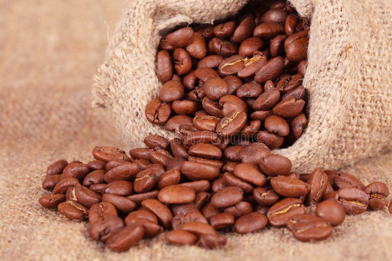 Coffee grains stock photo. Image of drink, heap, sack - 17393710