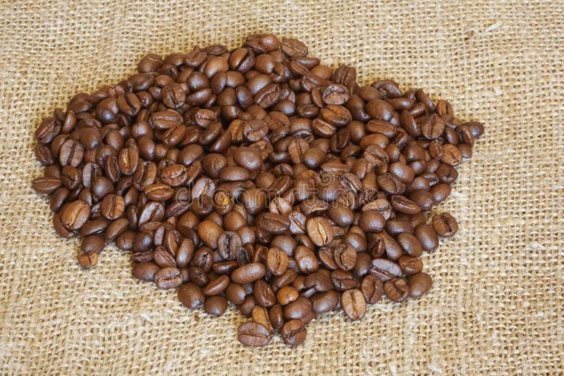Coffee grains stock photo. Image of meal, coffee, addiction - 19652134