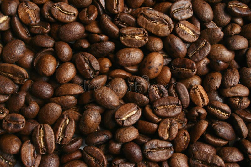 Coffee grains stock photo. Image of coffee, mill, dark - 2129358