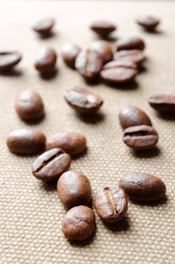 Coffee grains stock photo. Image of aromatic, cafe, group - 21610512