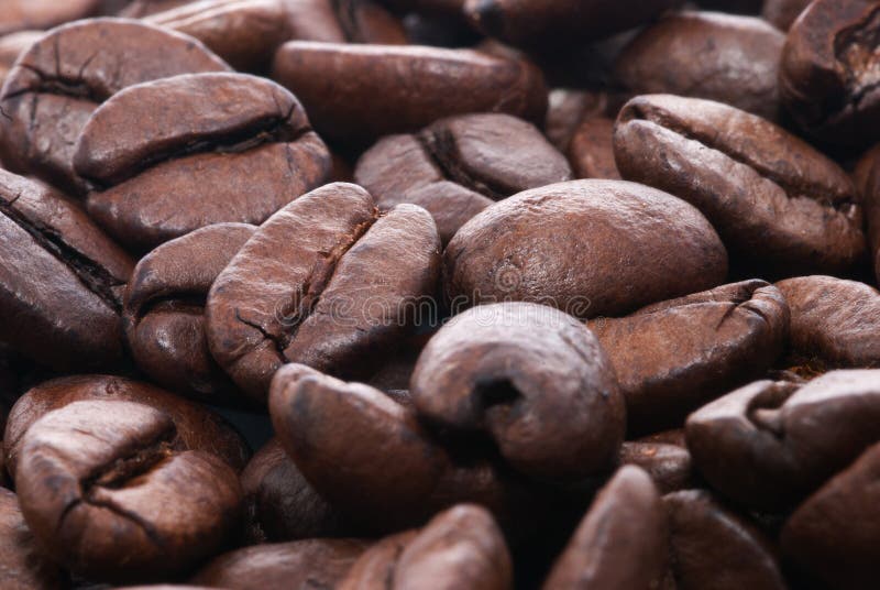 Coffee grains stock photo. Image of breakfast, espresso - 24923814