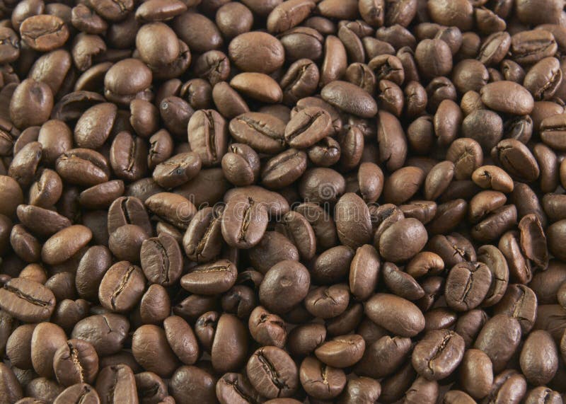 Coffee Grains Picture. Image: 2649534