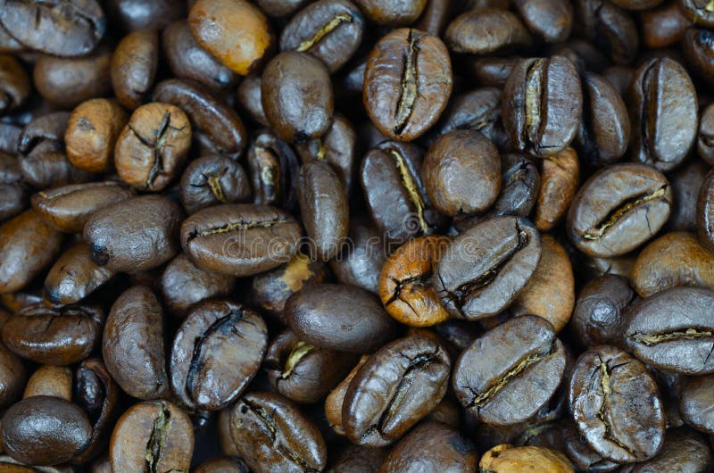 Coffee grains stock photo. Image of black, food, beverage - 29022206