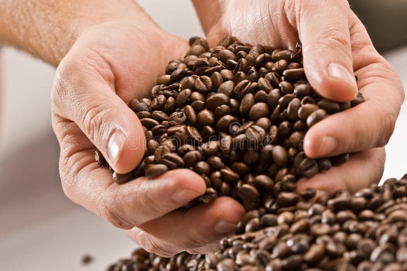 Coffee grains stock image. Image of heap, grain, bean - 4621303