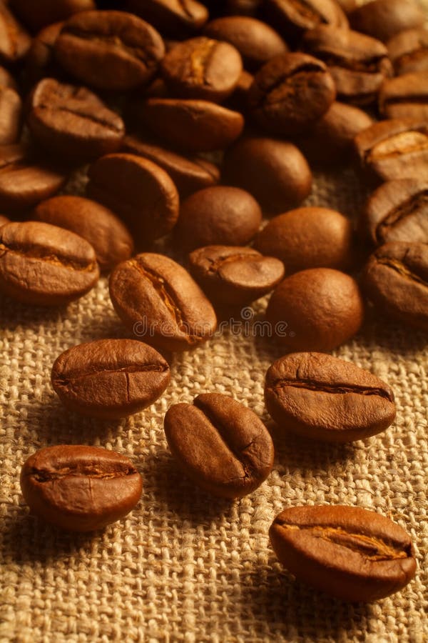 Coffee grains stock photo. Image of nature, food, bean - 5735514