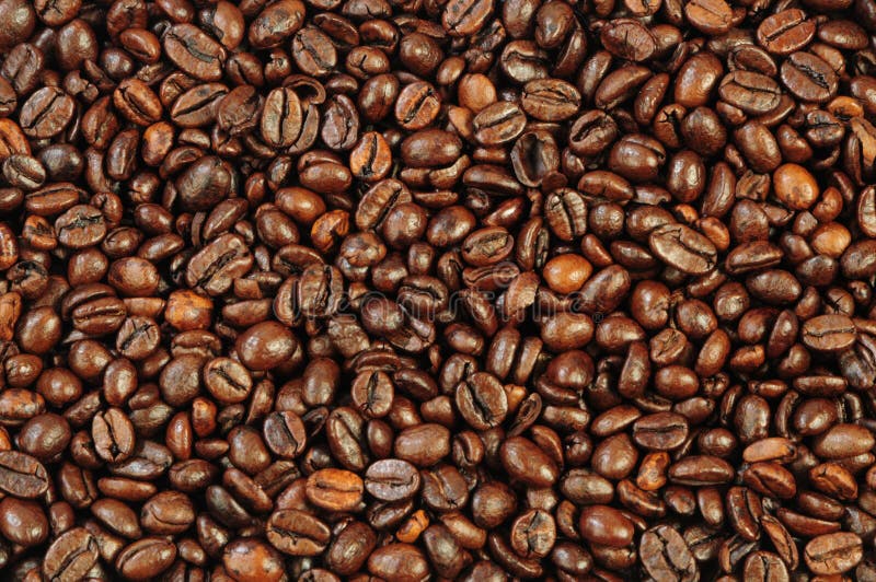 Coffee Grains Picture. Image: 8238477