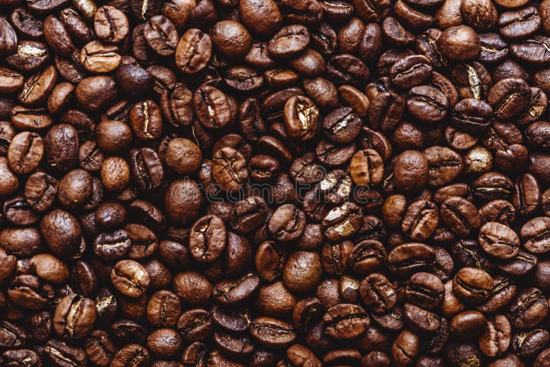 Coffee Grains. Background of Roasted Coffee Beans Brown. Layout Stock ...