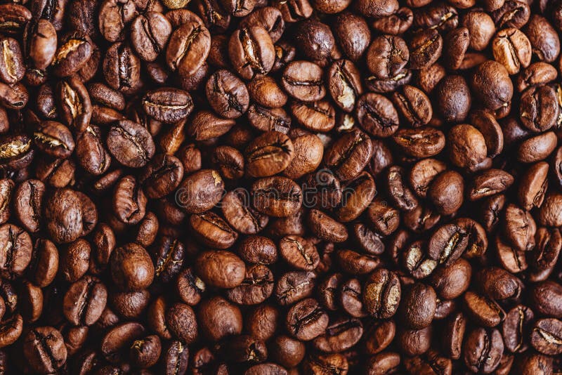 Coffee Grains. Background of Roasted Coffee Beans Brown. Layout Stock ...