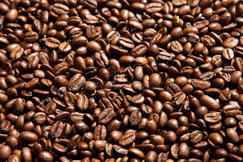 Coffee grains background stock image. Image of brown - 69042849